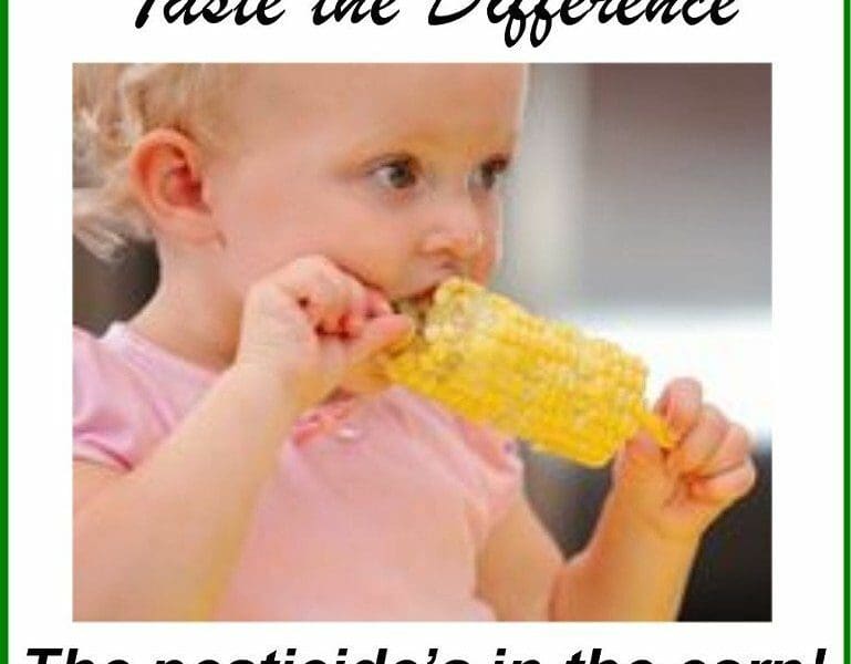 Walmart to Sell Genetically Altered Corn