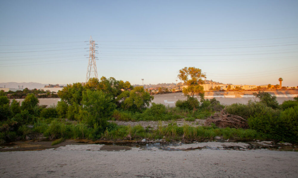 Barron of Frogtown: Watching L.A. change with “the Willy Wonka of ...