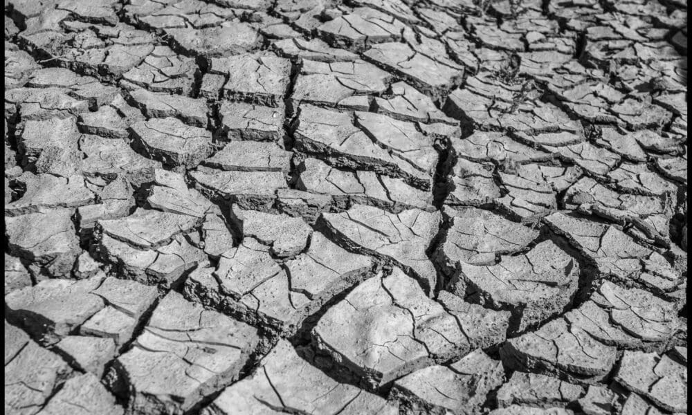 California's Water Crisis Is Real. What Are the Solutions?