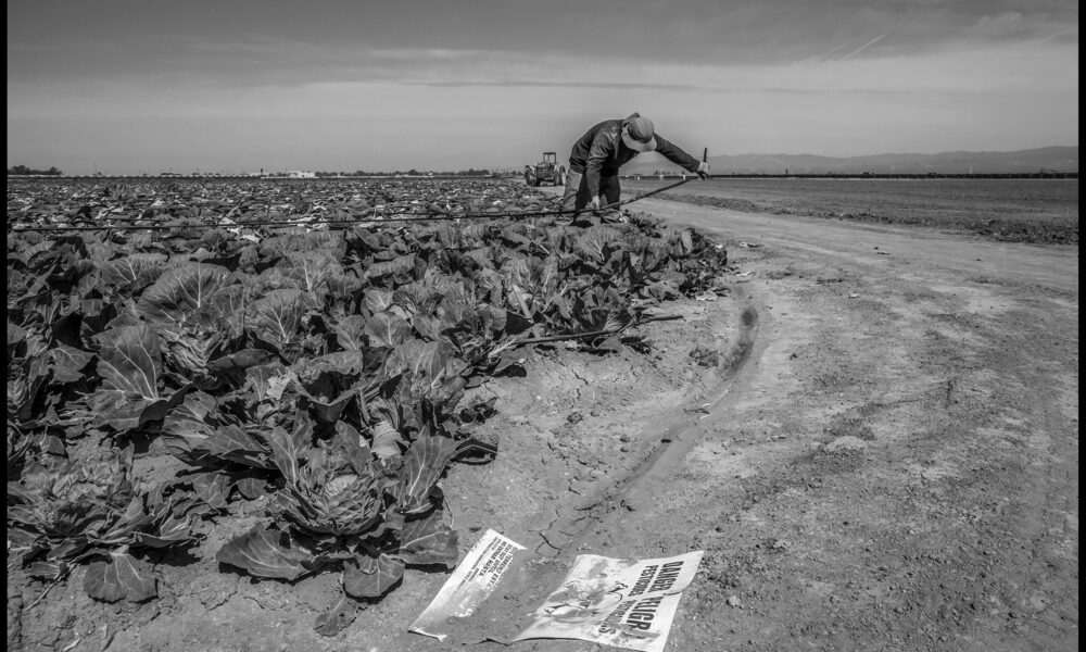 Why Being a Farmworker Is a Health Risk